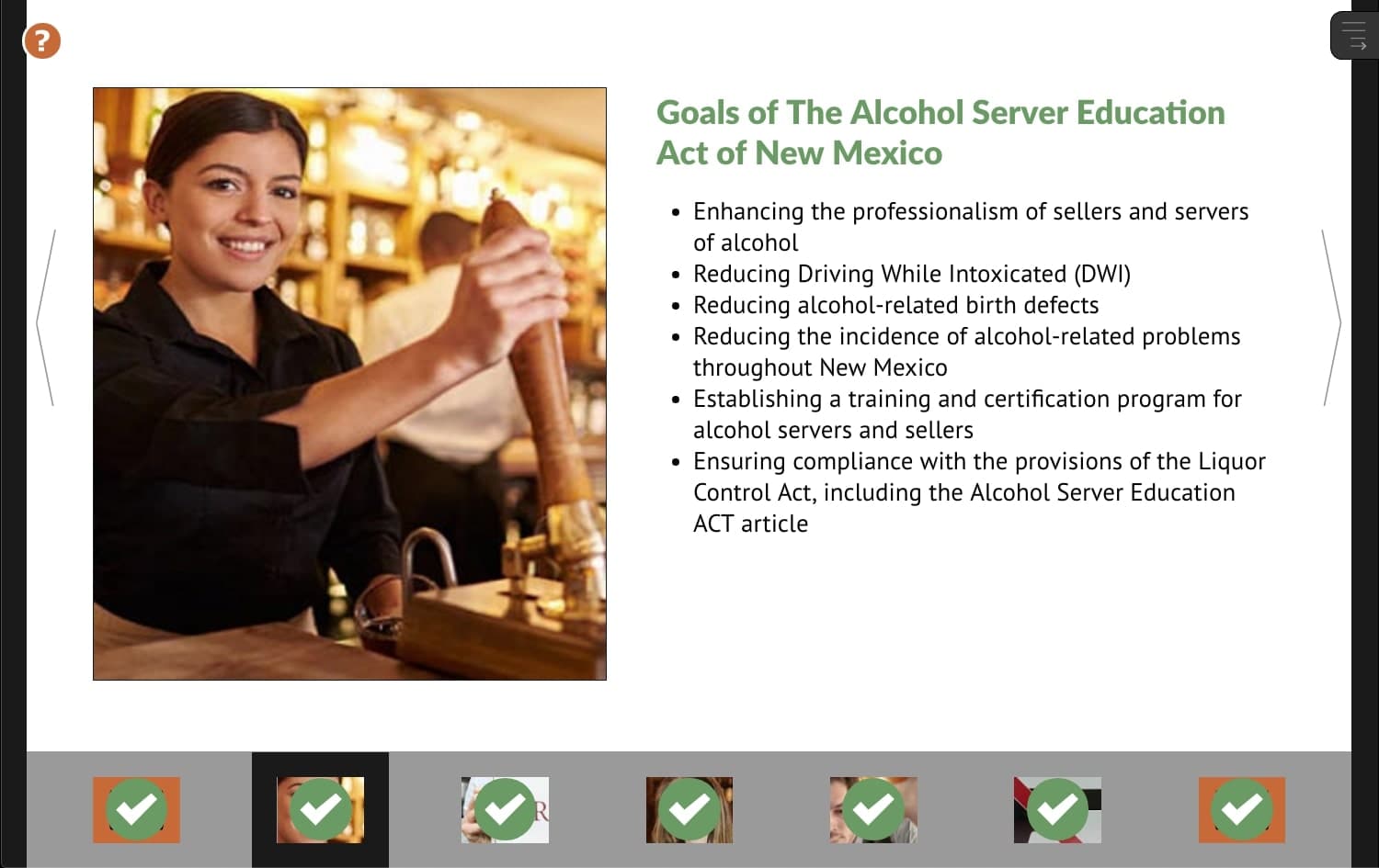 Educational Simulations